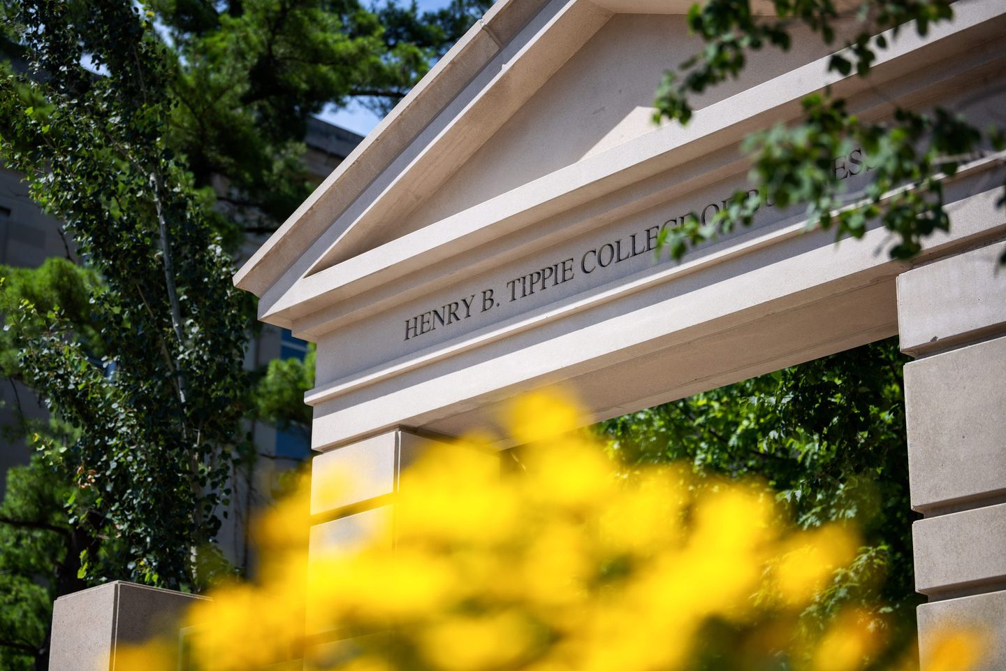 Tippie adds risk management, insurance education to program