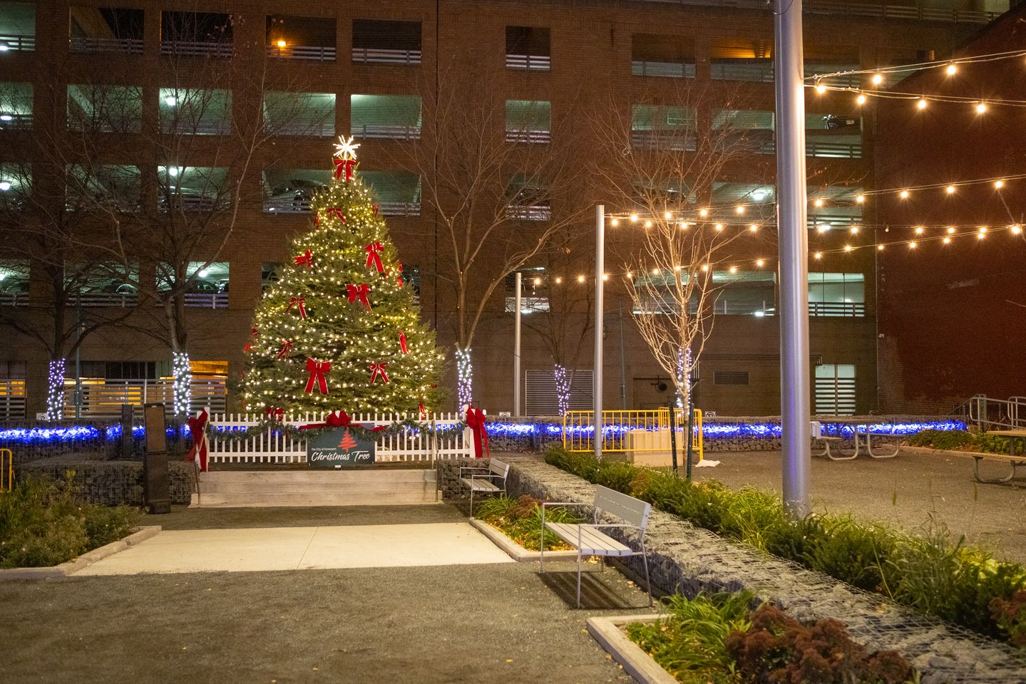 K-Square Christmas tree lighting kicks off holiday season