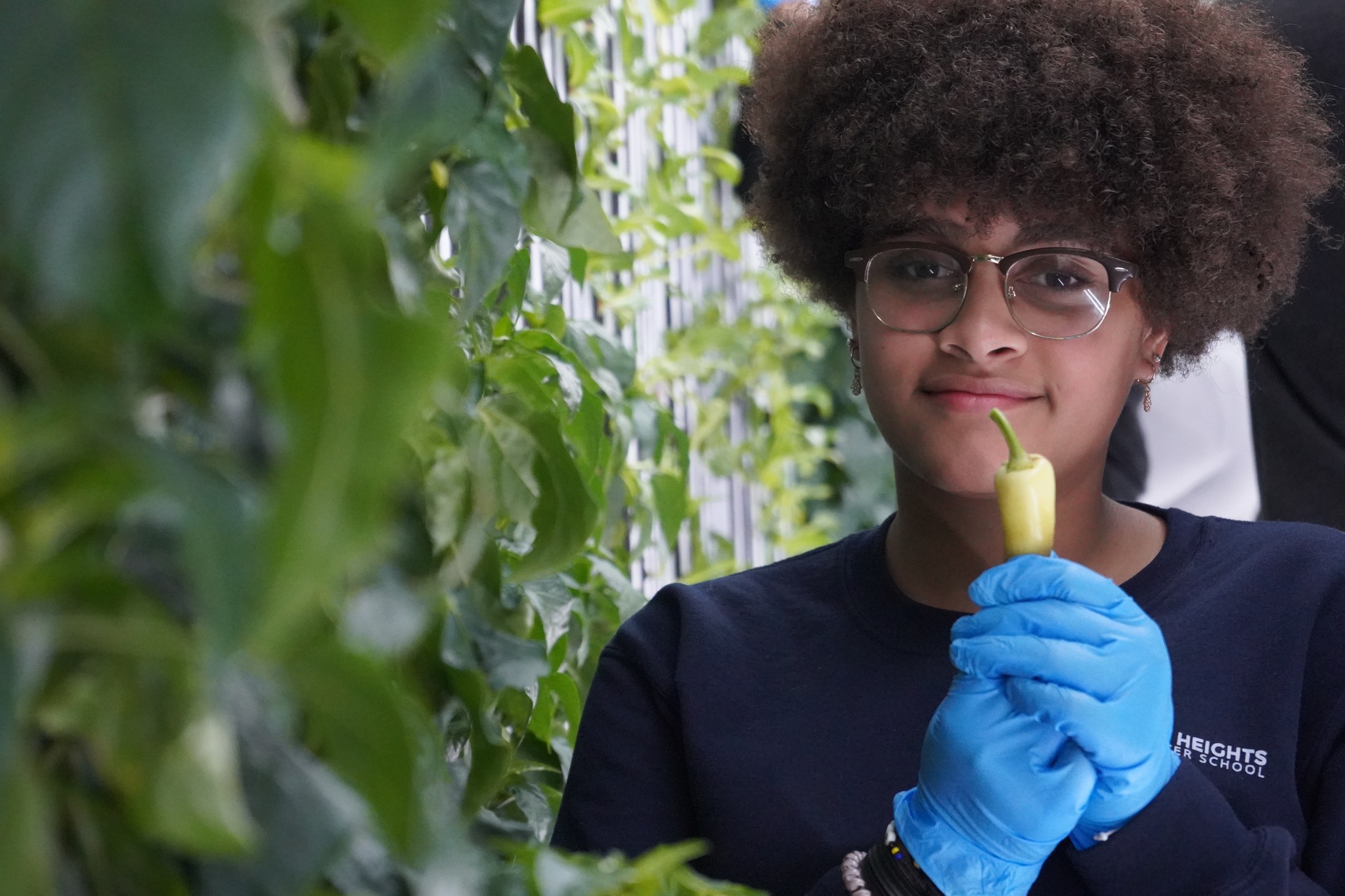 ‘Future of urban farming’ – New QC freight farm will grow crops