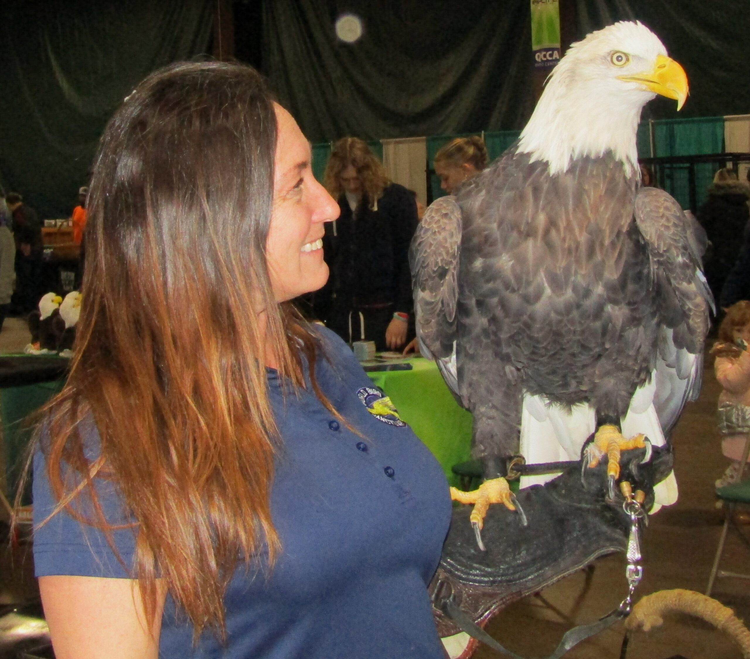 Animal attraction – QC Bald Eagle Days brings in big crowd