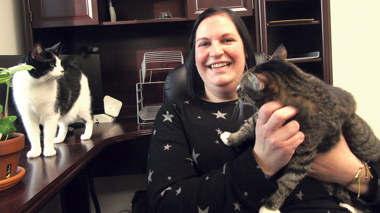 Books & Meows: Book store combines with cat adoption space