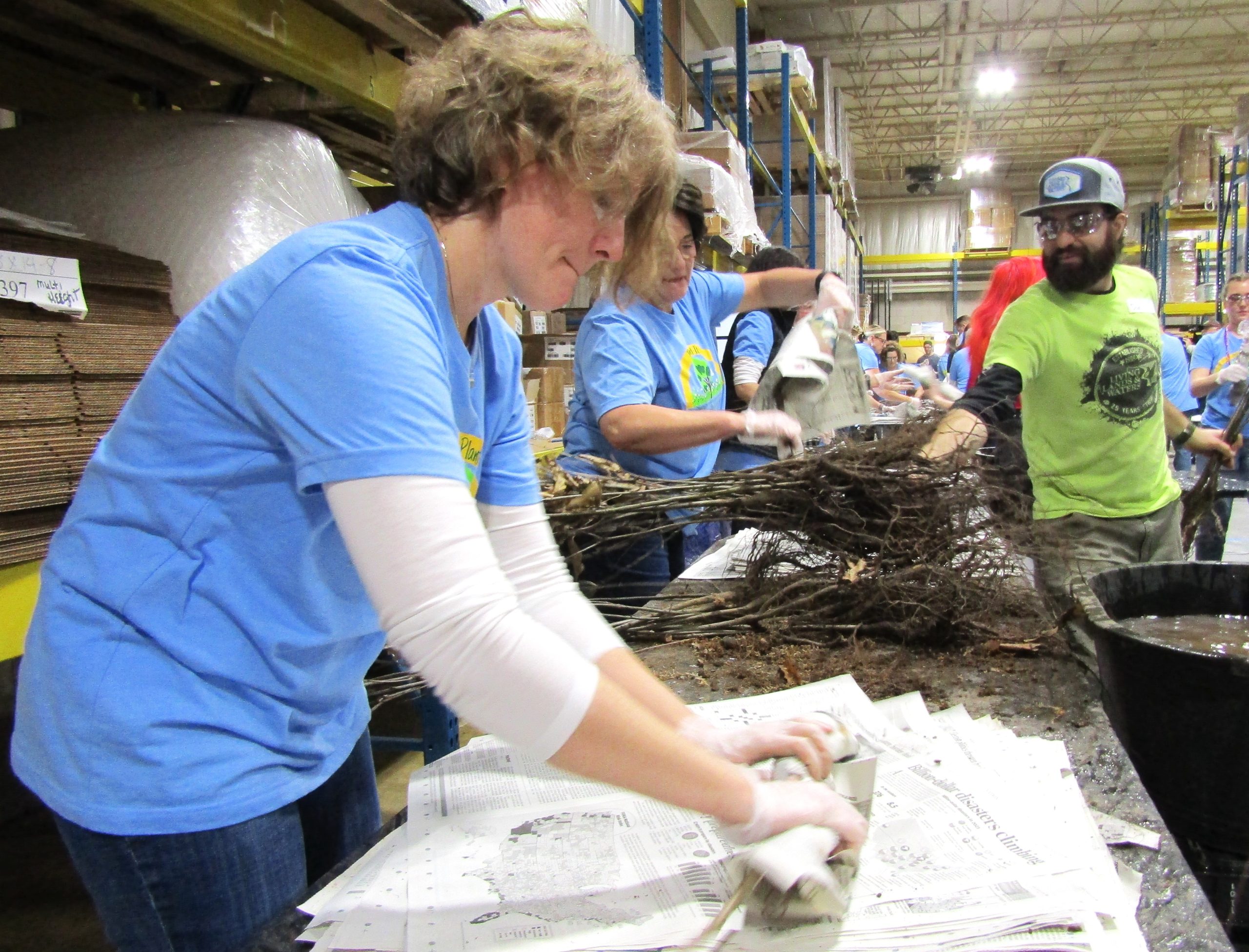 Modern Woodmen volunteers help with tree-planting project